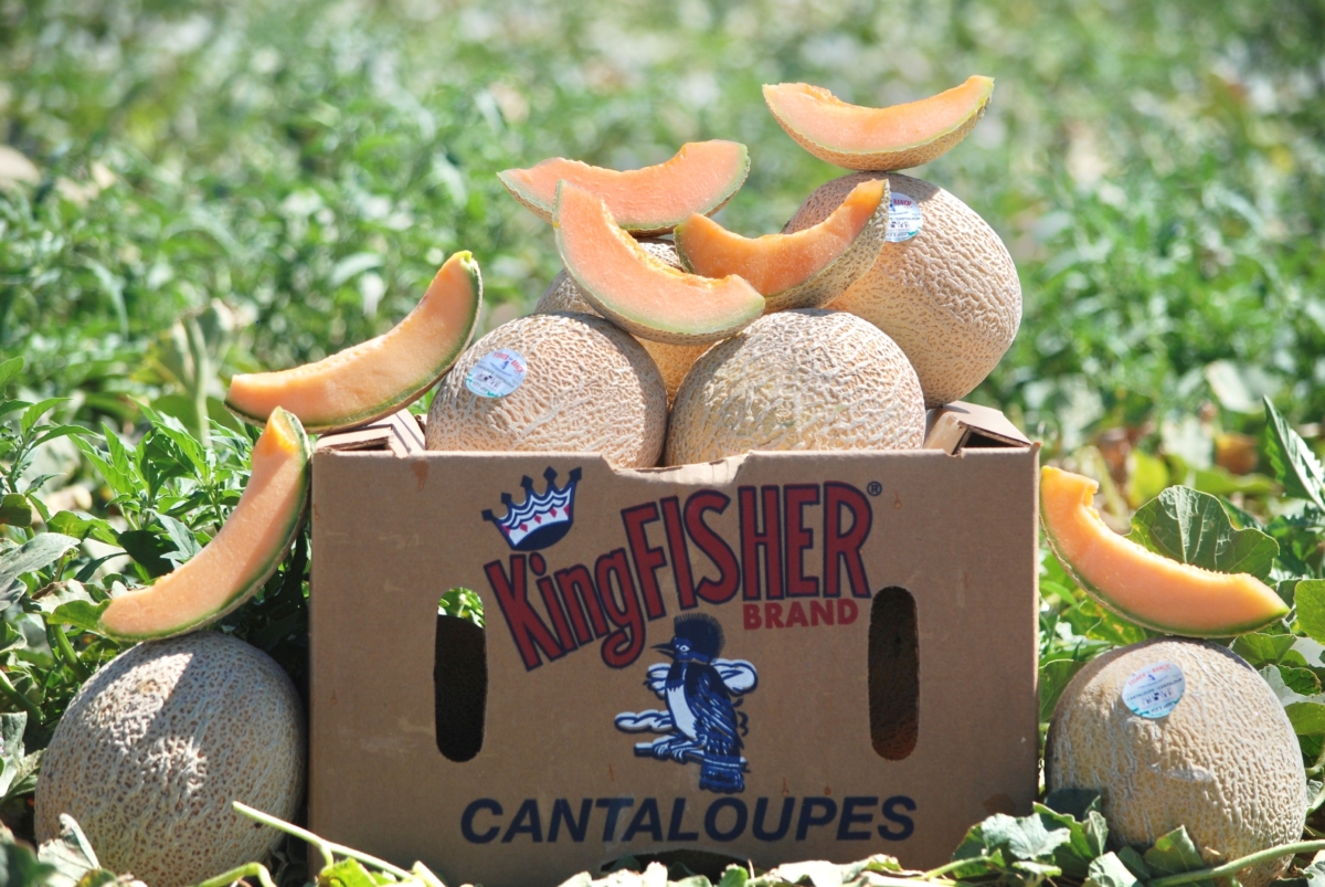 Fisher Ranch Expands Its Business Using AgroFresh's Flagship Technology ...