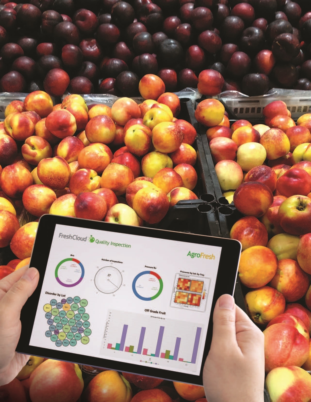AgroFresh Expands Rollout of AgTech Innovation with Leading Australian ...