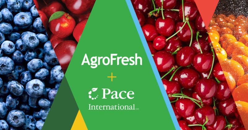 AgTech post-harvest innovator that helps extend produce quality