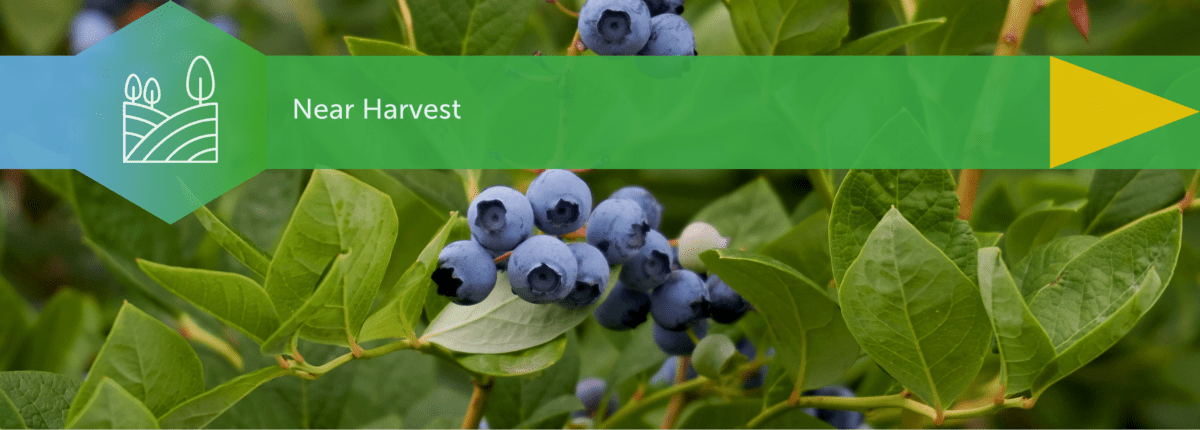 Asia Pacific Region - AgroFresh